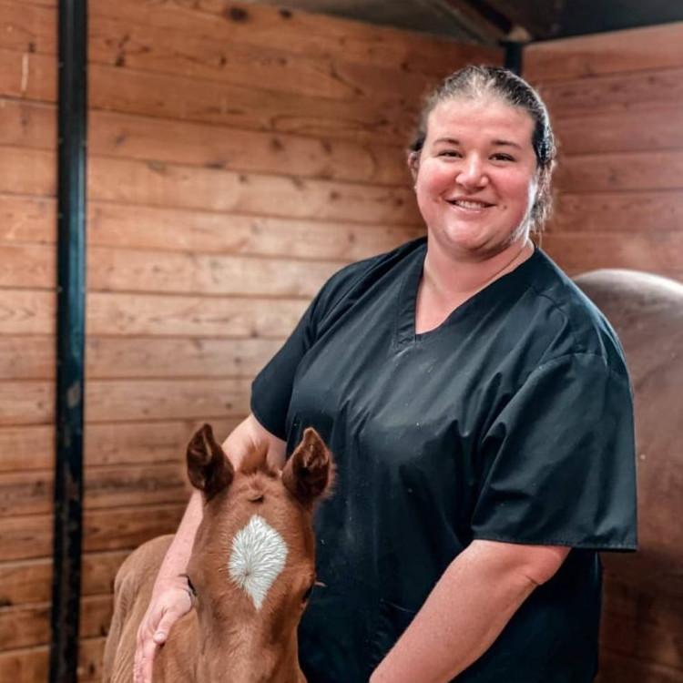 Meet the Veterinarians - Cleveland Equine Clinic The Leader in Equine ...